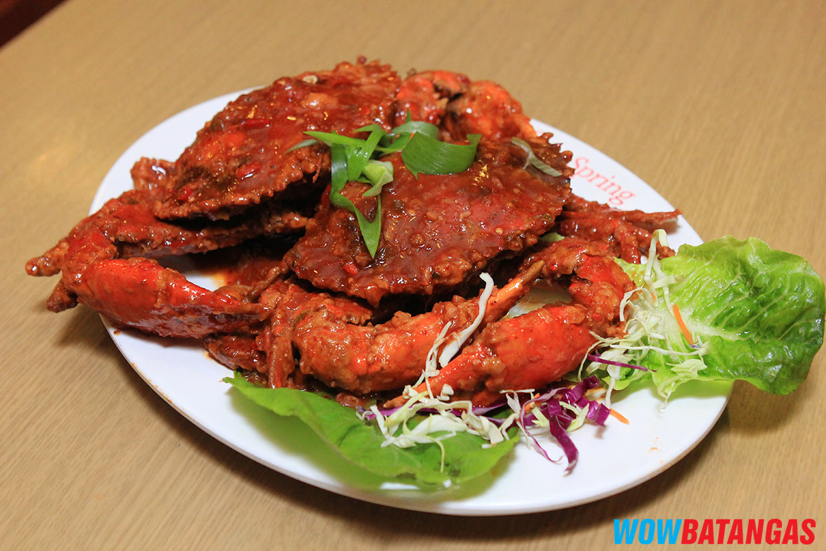 Sea’s Spring Resort – A Diving and Hot Spring Haven in Mabini, Batangas ...