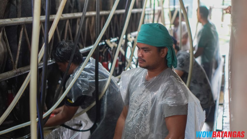 BADACO: Tulay ng Teknolohiya, Agrikultura at Komersyo | WOWBatangas.com ...