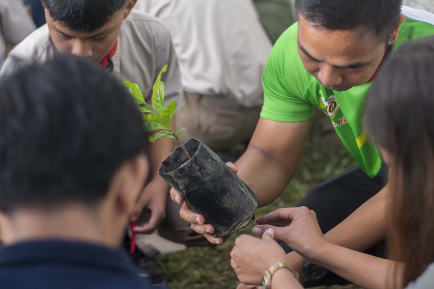 DepEd plants 236K Fruit-Bearing Trees in One Day | WOWBatangas.com ...