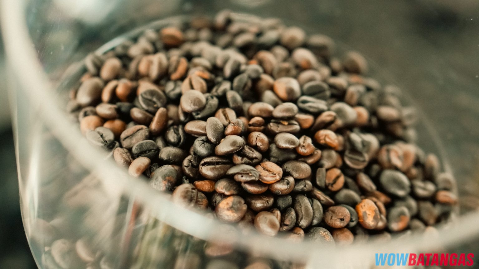 Brewing Identity: Discovering Batangueño Pride Through the Story of ...